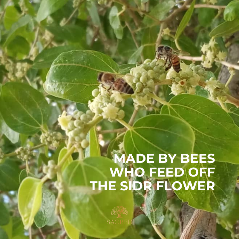 Premium Yemeni Sidr Honey | Raw & Natural from Sacred Honey